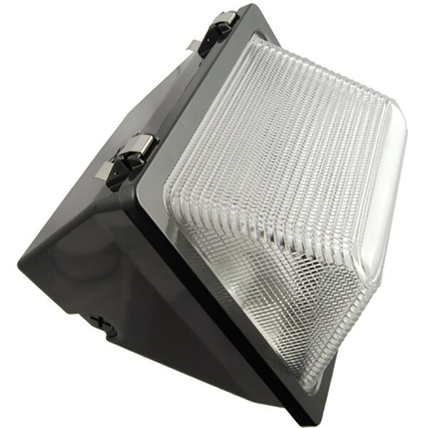 The Designer Edge Security Outdoor Light Fixture
